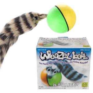 D.Y. TOY Weazel Ball - The Weasel Rolls with Ball