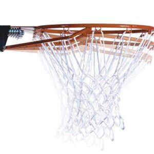 Lifetime Portable Basketball System with Shatterproof Backboard (52" Polycarbonate)