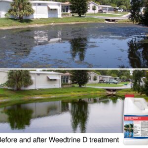 Weedtrine D Aquatic Herbicide, 1 gal