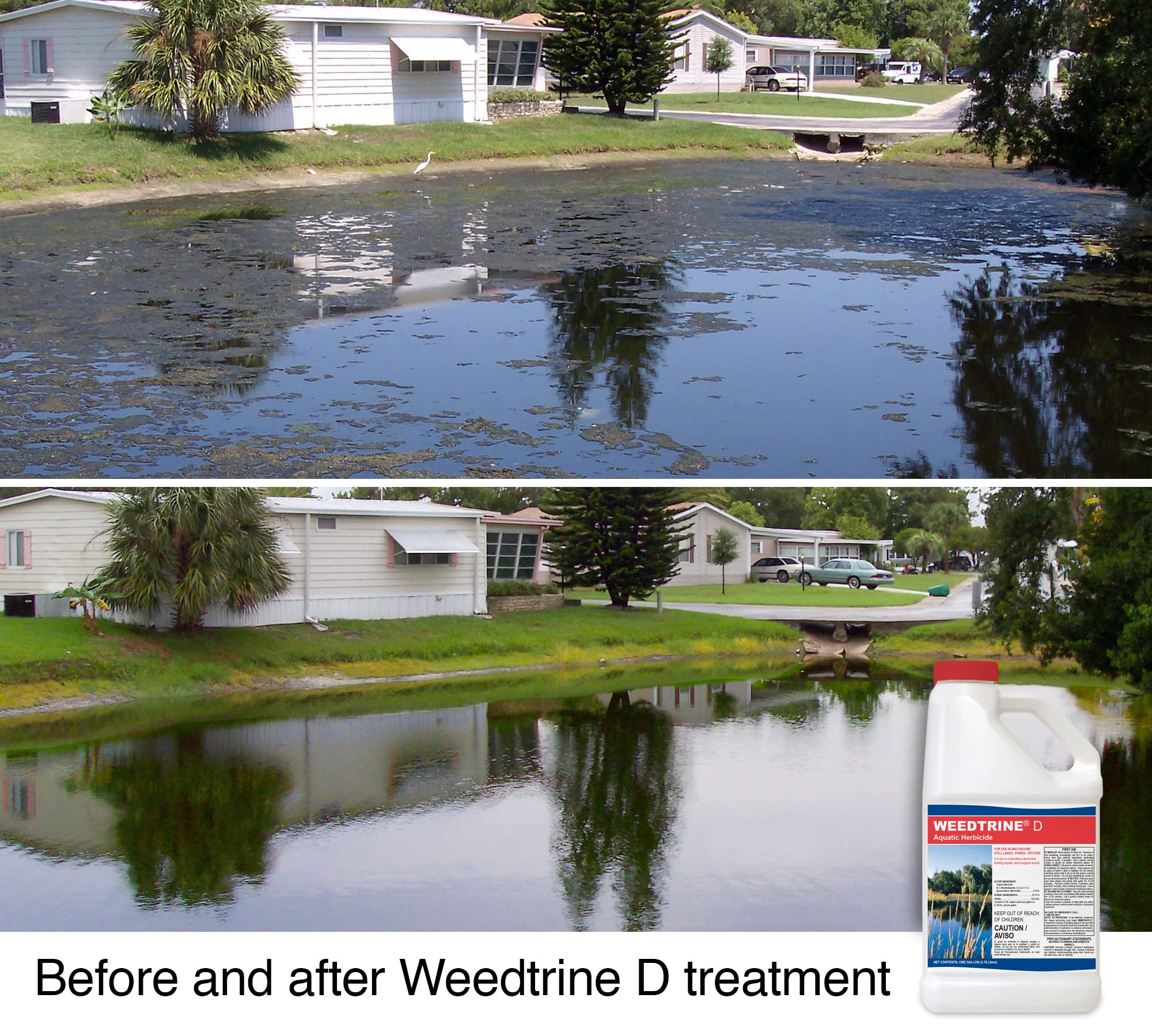 Weedtrine D Aquatic Herbicide, 1 gal