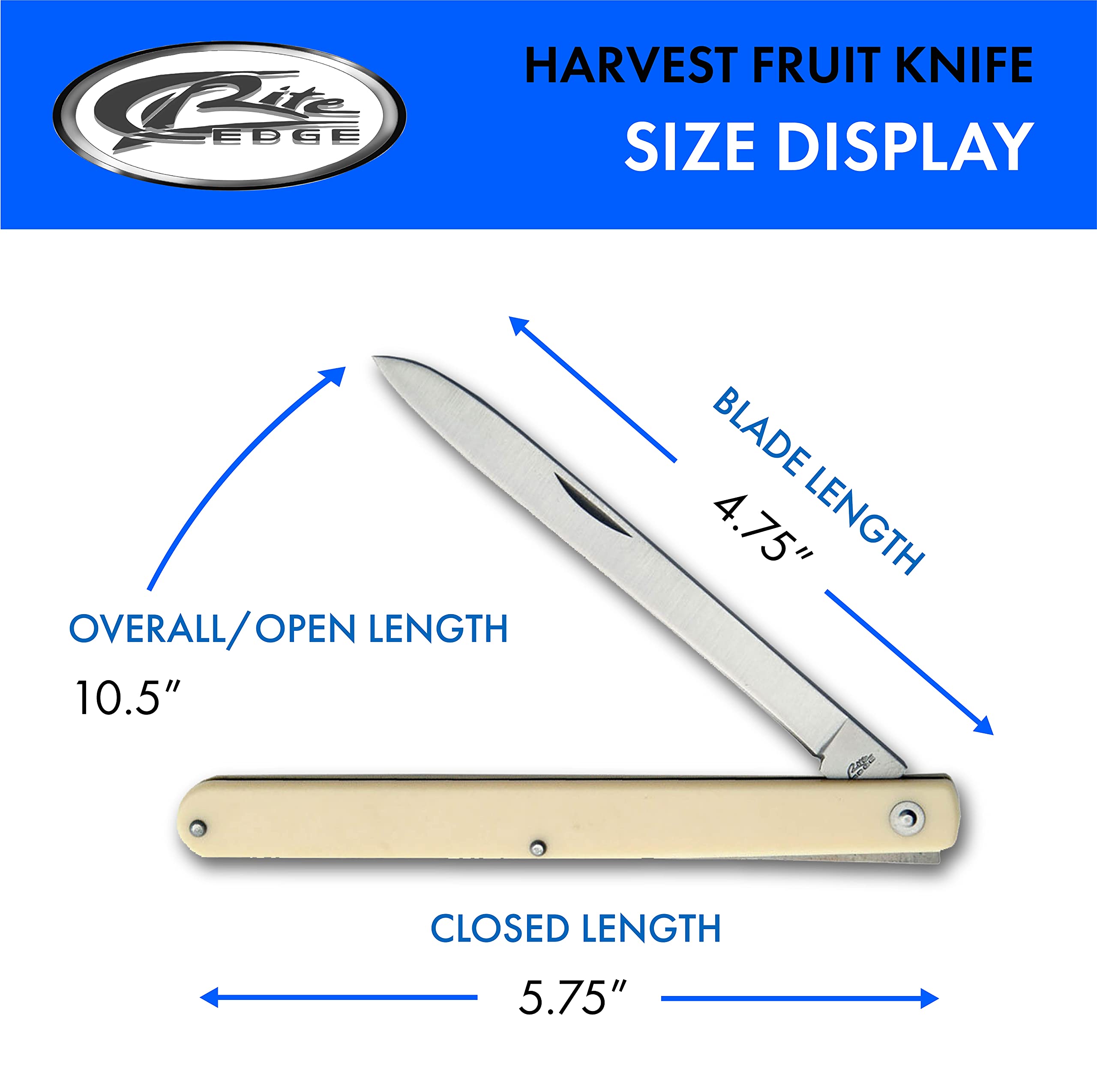 SZCO Supplies 210970 Alabaster Harvest Fruit Folding Knife, Stainless Steel