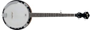 b50 5-string banjo