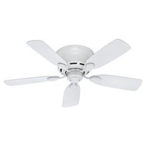 hunter fan company 51059 indoor low profile iv ceiling fan with pull chain control, 42", white finish