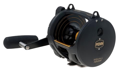 PENN 1292938 Squall Lever Drag 2-Speed Trolling Fishing Reel, 890/50, black, IGFA50, SQL50VSW