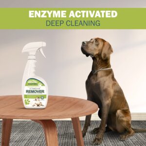 Amaziing Solutions Pet Stain and Odor Remover - Enzyme Cleaner, Pet Urine Odor Eliminator Spray - Floor & Carpet Cleaner Spray, Pet Deodorizers For Home, Fabric Spray W/Fresh, Clean Scent, 32oz Spray