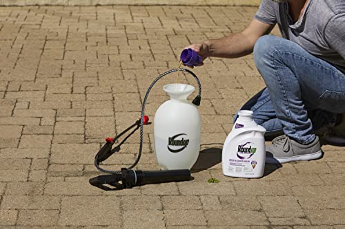 Roundup Super Concentrate Weed & Grass Killer - Includes Easy Measure Cap, 0.5 gal.