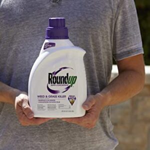 Roundup Super Concentrate Weed & Grass Killer - Includes Easy Measure Cap, 0.5 gal.