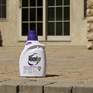 Roundup Super Concentrate Weed & Grass Killer - Includes Easy Measure Cap, 0.5 gal.