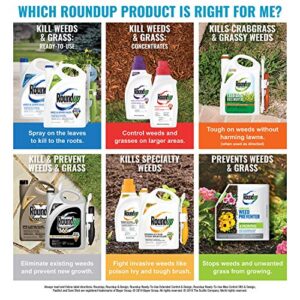 Roundup Super Concentrate Weed & Grass Killer - Includes Easy Measure Cap, 0.5 gal.