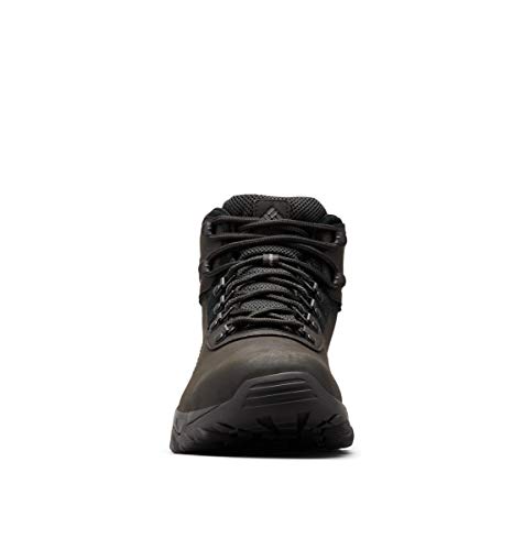 Columbia mens Newton Ridge Plus Ii Waterproof Hiking Boot, Black/Black, 12 US