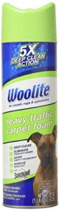 woolite heavy traffic carpet cleaner, 22 fl oz