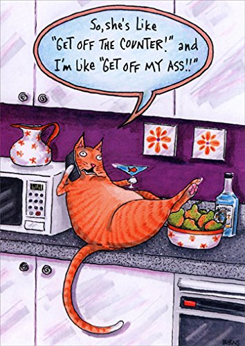 Oatmeal Studios Cat on Counter Funny Birthday Card