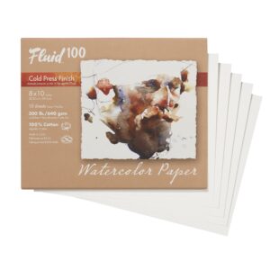 fluid 100 artist watercolor paper, 300 lb (640 gsm) 100% cotton cold press for watercolor painting and wet media, 8 x 10 pochette, 10 sheets