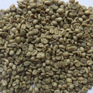 3 Lb, Single Origin Unroasted Green Coffee Beans, Specialty Grade From Single Nicaraguan Estate, Direct Trade (Caturra Varietal)