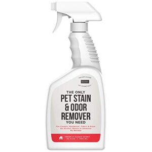 natural rapport pet stain and odor spray - the only pet stain and odor remover you need - pet stain remover carpet and upholstery cleaner urine odor eliminator spray for pets (32 fl oz.)