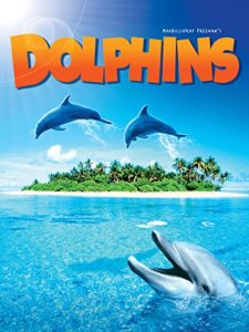 dolphins