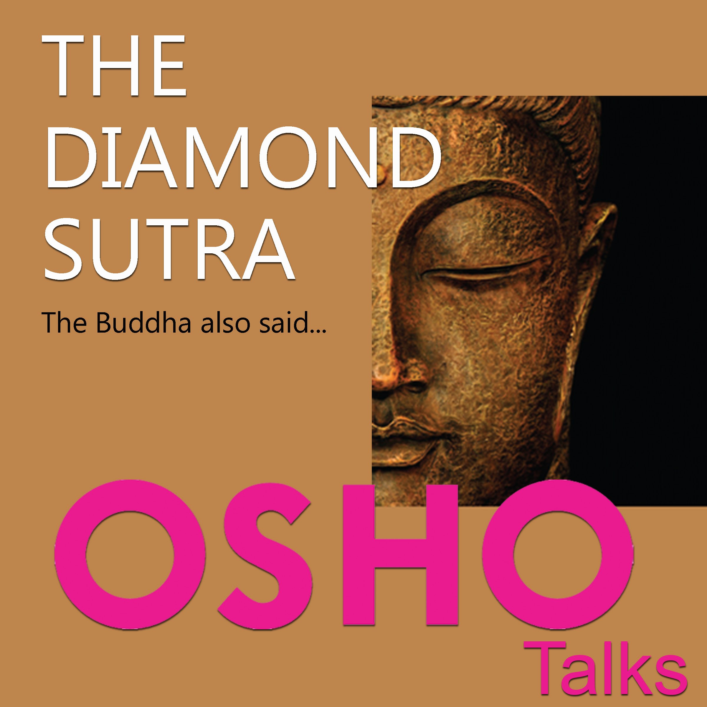 The Diamond Sutra: The Buddha Also Said...