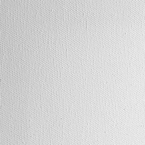 Practica Economy Stretched Cotton Canvas - Acid-Free Acrylic Primed Canvas for Acrylics, Pastels, Graphite, & More! - [2-Pack - 11x14]