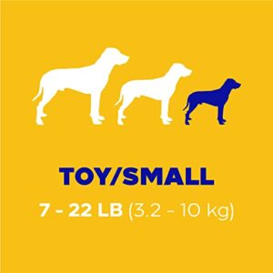 PEDIGREE DENTASTIX Toy/Small Dog Dental Treats Original Flavor Dental Bones, 1.11 lb. Pack (84 Treats)