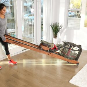 Life Fitness Row HX Trainer