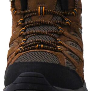 Merrell Men's Moab 2 MID Waterproof Hiking Boot, Earth, 9