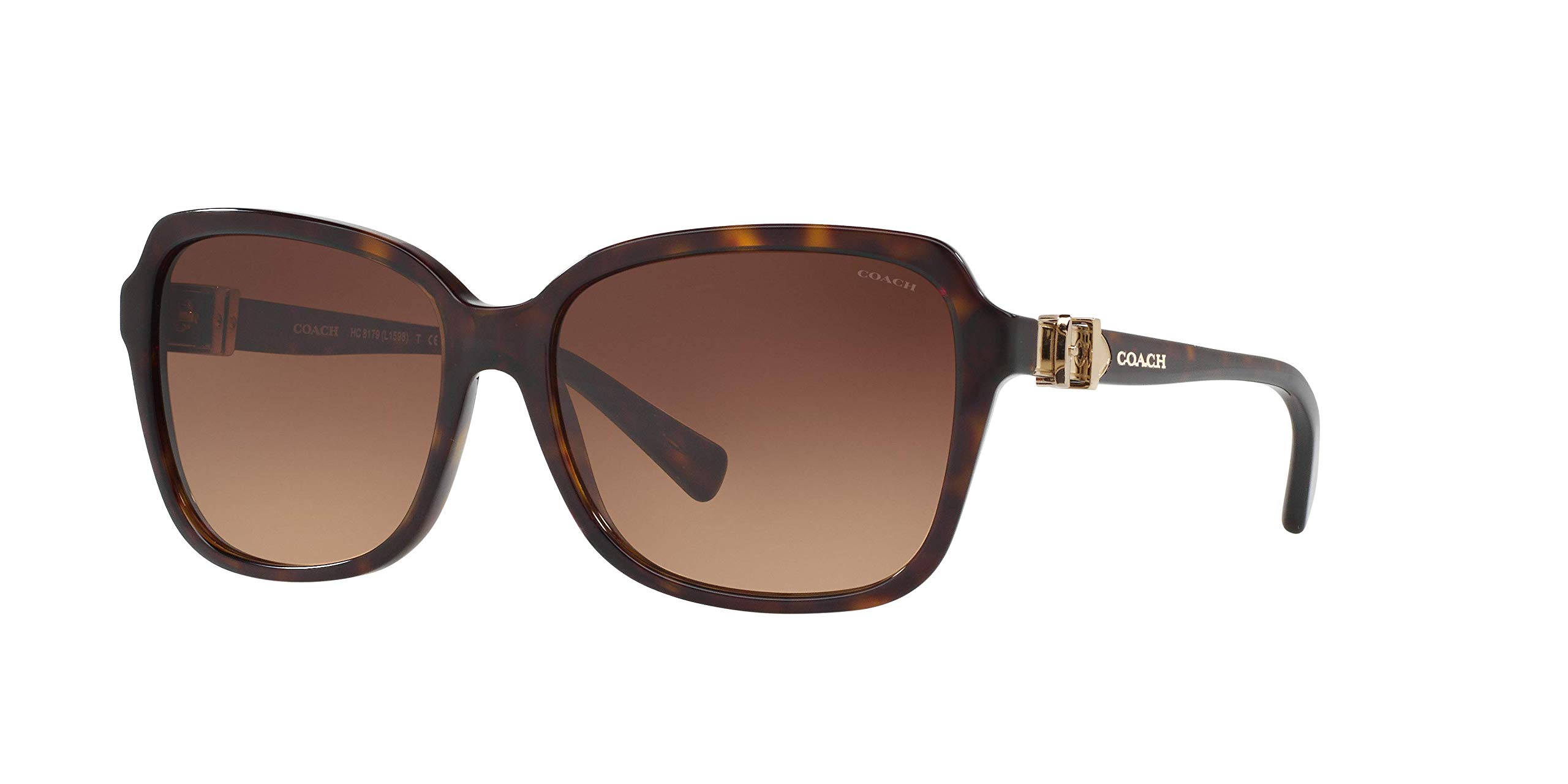 Coach HC8179 Sunglasses, Dark Tortoise/Brown Gradient, 58 mm