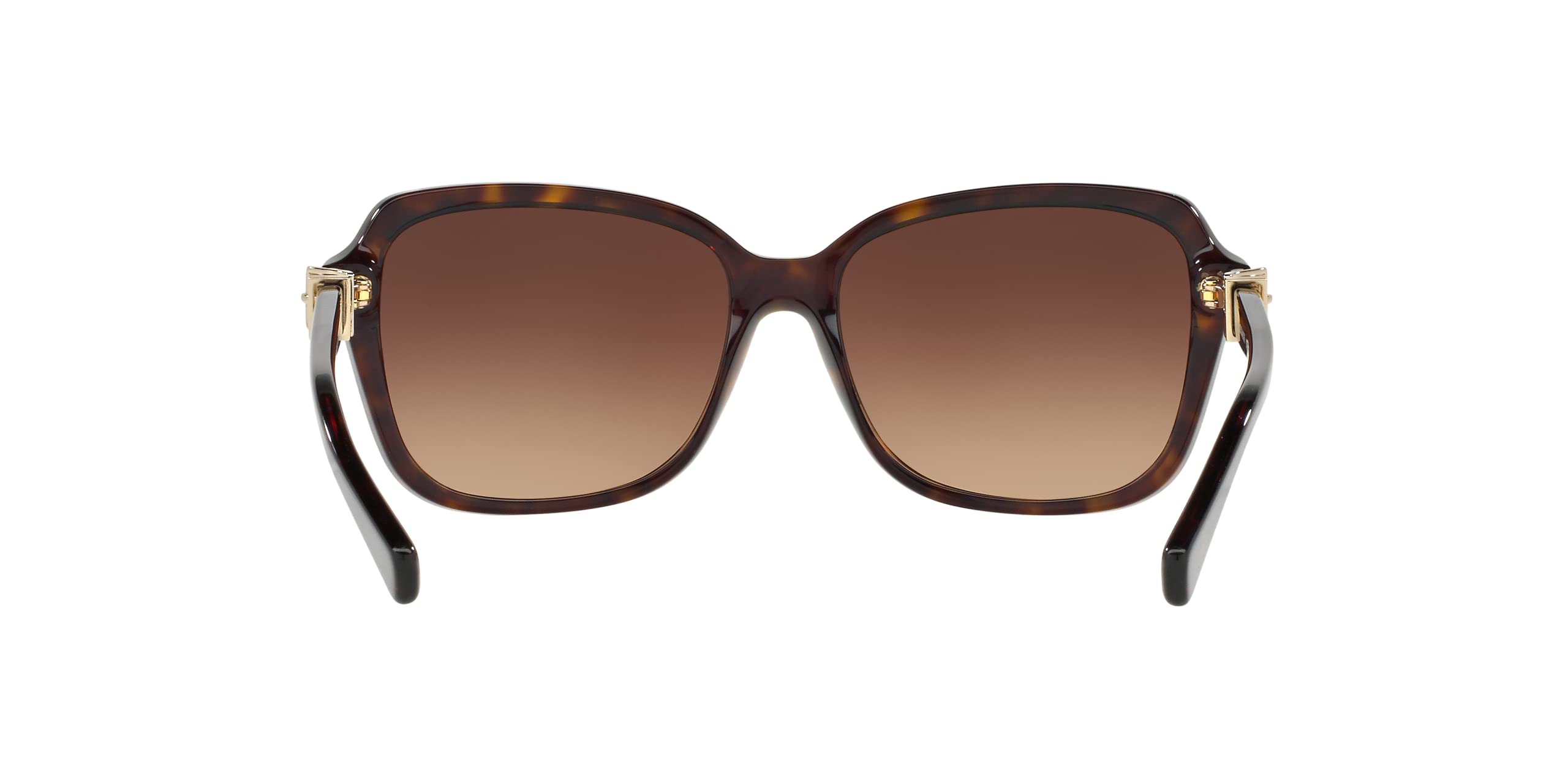 Coach HC8179 Sunglasses, Dark Tortoise/Brown Gradient, 58 mm