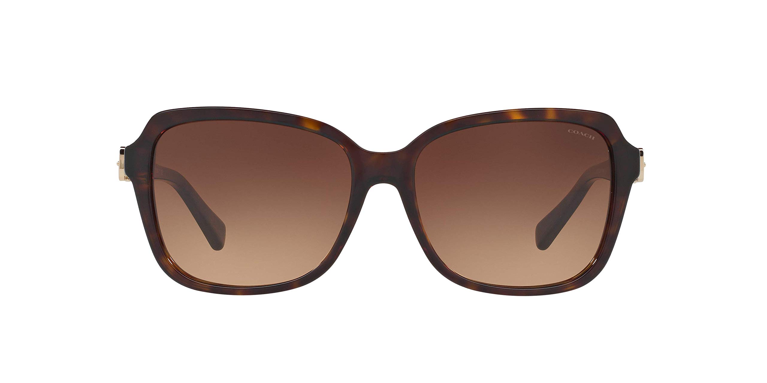 Coach HC8179 Sunglasses, Dark Tortoise/Brown Gradient, 58 mm