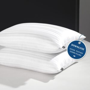 downluxe goose down pillows - hotel collection feather pillows set of 2 for back, stomach or side sleepers, queen size (20"x28")