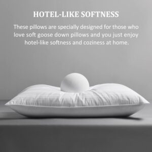 downluxe Goose Down Pillows - Hotel Collection Feather Pillows Set of 2 for Back, Stomach or Side Sleepers, Queen Size (20"x28")