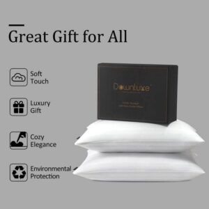 downluxe Goose Down Pillows - Hotel Collection Feather Pillows Set of 2 for Back, Stomach or Side Sleepers, Queen Size (20"x28")