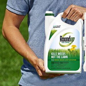 Roundup For Lawns1 Ready to Use - All-in-One Weed Killer for Lawns, Kills Weeds - Not the Lawn, One Solution for Crabgrass, Dandelions, Clover and Nutsedge, For Use on Northern Grasses, 1.33 gal.