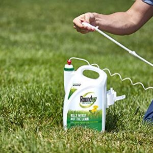 Roundup For Lawns1 Ready to Use - All-in-One Weed Killer for Lawns, Kills Weeds - Not the Lawn, One Solution for Crabgrass, Dandelions, Clover and Nutsedge, For Use on Northern Grasses, 1.33 gal.