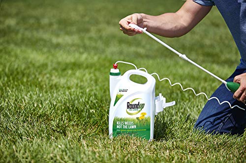 Roundup For Lawns1 Ready to Use - All-in-One Weed Killer for Lawns, Kills Weeds - Not the Lawn, One Solution for Crabgrass, Dandelions, Clover and Nutsedge, For Use on Northern Grasses, 1.33 gal.