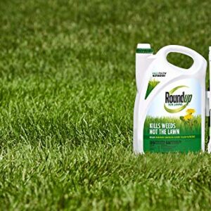 Roundup For Lawns1 Ready to Use - All-in-One Weed Killer for Lawns, Kills Weeds - Not the Lawn, One Solution for Crabgrass, Dandelions, Clover and Nutsedge, For Use on Northern Grasses, 1.33 gal.