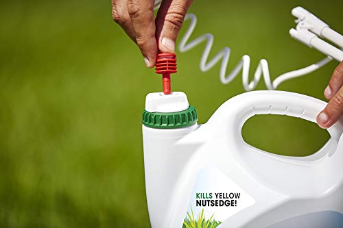 Roundup For Lawns1 Ready to Use - All-in-One Weed Killer for Lawns, Kills Weeds - Not the Lawn, One Solution for Crabgrass, Dandelions, Clover and Nutsedge, For Use on Northern Grasses, 1.33 gal.