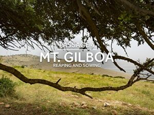 in the shadow of gilboa: reaping & sowing