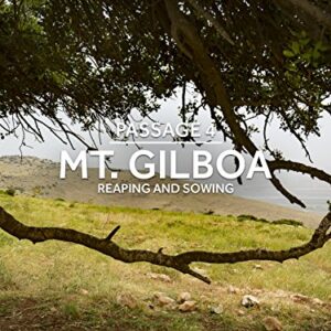 In the Shadow of Gilboa: Reaping & Sowing