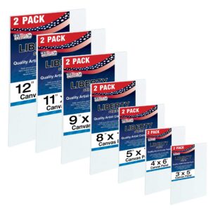 u.s. art supply rectangular variety assortment professional artist quality acid free canvas panels 14-total panels (2-ea: 12x16, 11x14, 9x12, 8x10, 5x7, 4x6, 3x5)