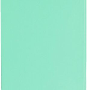 NOMATIC Notebook - Journal For Writing, Business, Office, And Sketchbook - 240 Ruled Pages - Hard Cover Notebook With Perforated Pages, Built-in Pen Holder, And Whiteboard Paper (Mint)