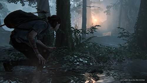 The Last of Us Part II - Standard Edition [PlayStation 4] (Uncut)