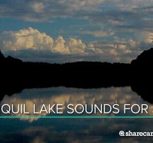 Tranquil Lake Sounds for Sleep 8 Hours