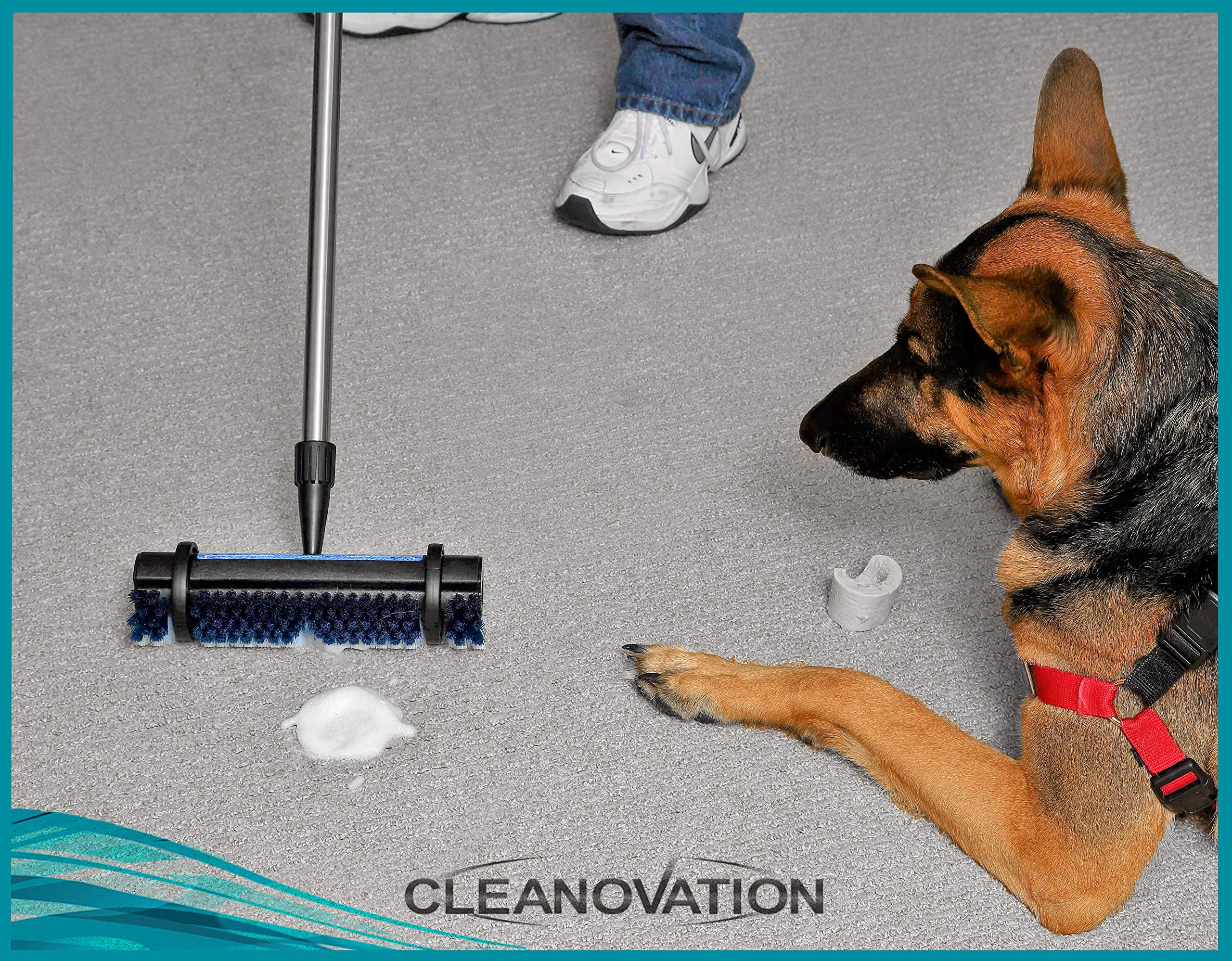 Cleanovation Rug Renovator Floor Scrub Brush with Long Handle, Scrape Brush Stiff Bristle Scrubber, Cleaning for carpet pet stains and odors, 32 Fl oz Carpet Shampoo