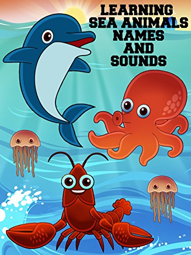 Learning Sea Animals Names And Sounds