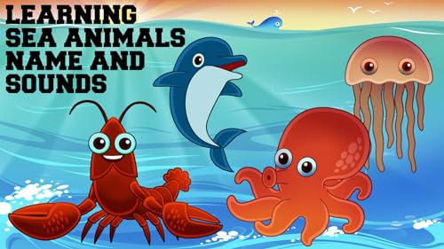 Learning Sea Animals Names And Sounds