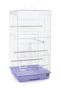 prevue pet products specono1818h-pb tall tiel cage, periwinkle blue