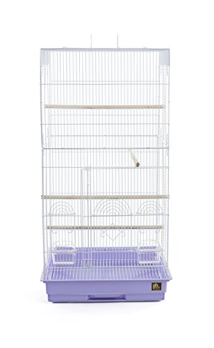 Prevue Pet Products SPECONO1818H-PB Tall Tiel Cage, Periwinkle Blue