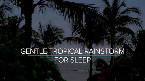 Gentle Tropical Rainstorm for Sleep 9 Hours