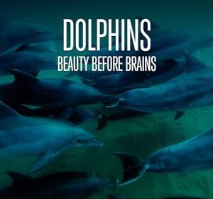 Dolphins: Beauty Before Brains?