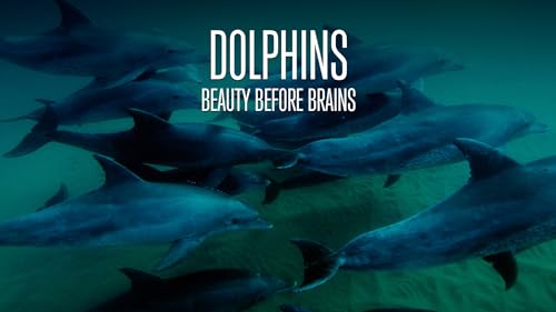 Dolphins: Beauty Before Brains?